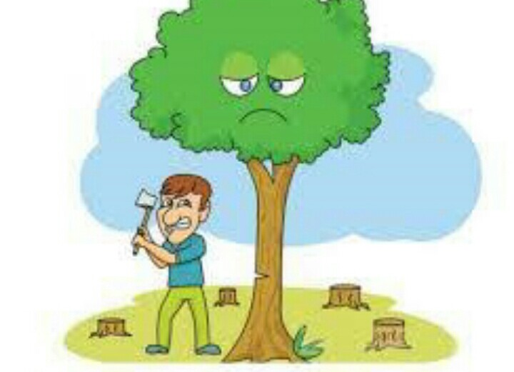 On Killing a Tree full poem explanation for class 9th.