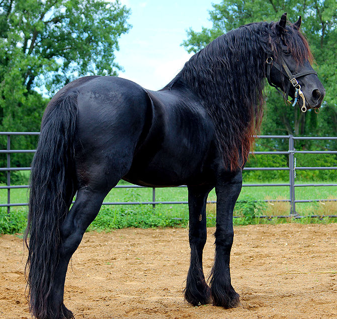 The Horsemeister Blog: Warlander Papers Came