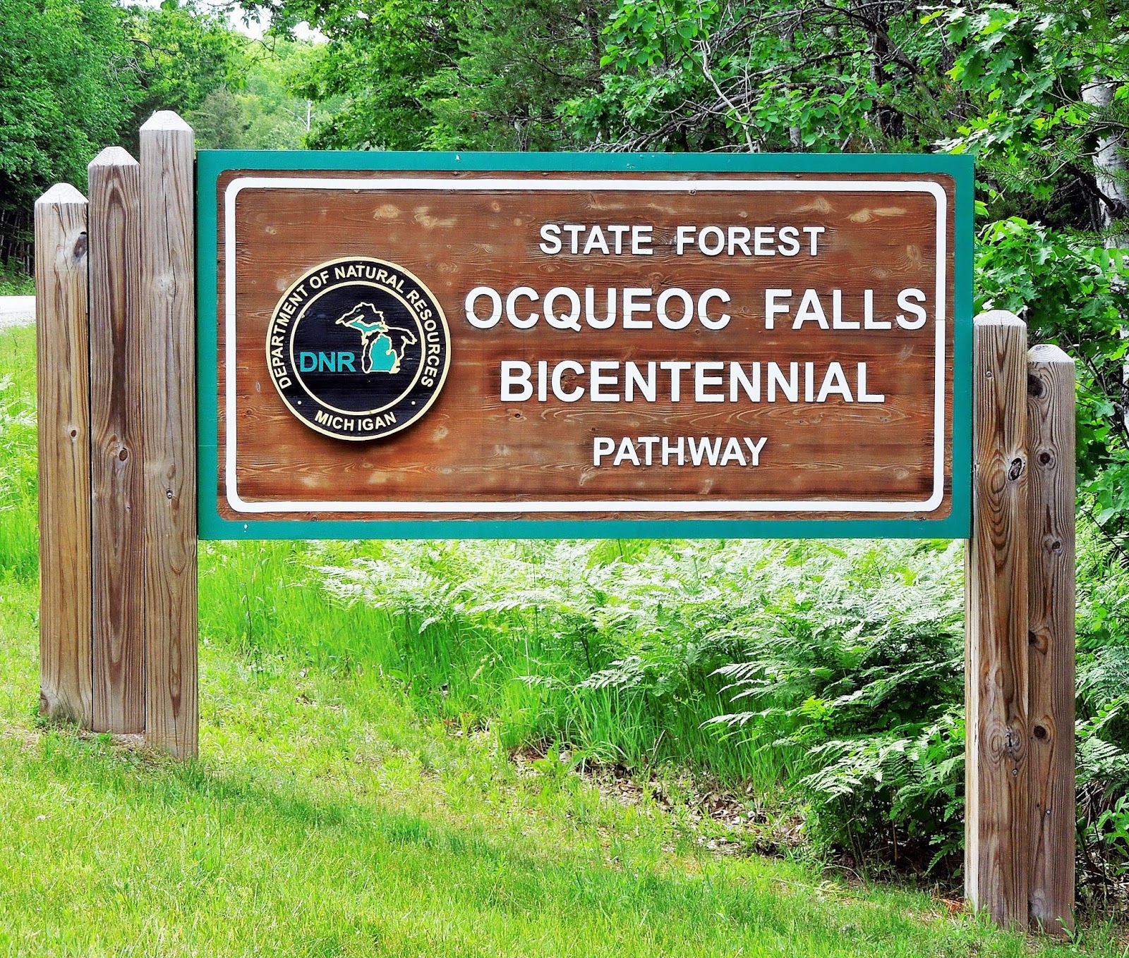 Focusing On Travel : The One & Only ,,, Ocqueoc Falls