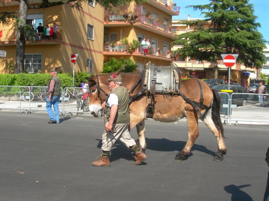 ALPINI 2014: PASSIRANO