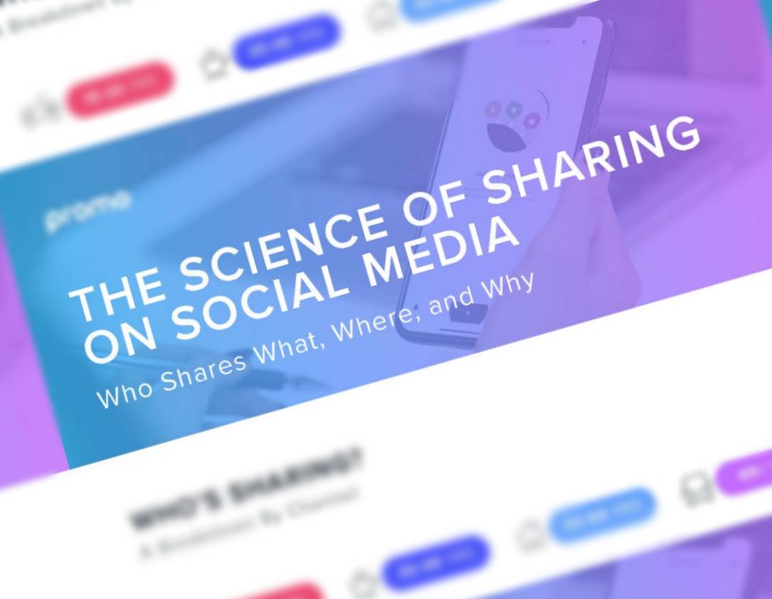 Who, What, Where and Why, Important Questions Answered To Understand ...