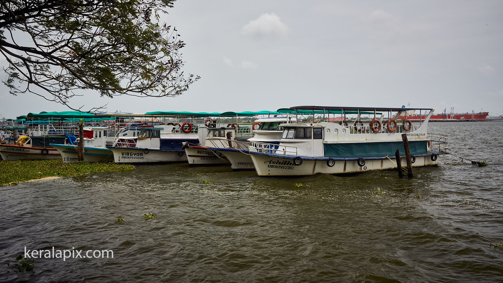 Keralapix.com: Your Ultimate Destination for Stunning Kerala Images and ...