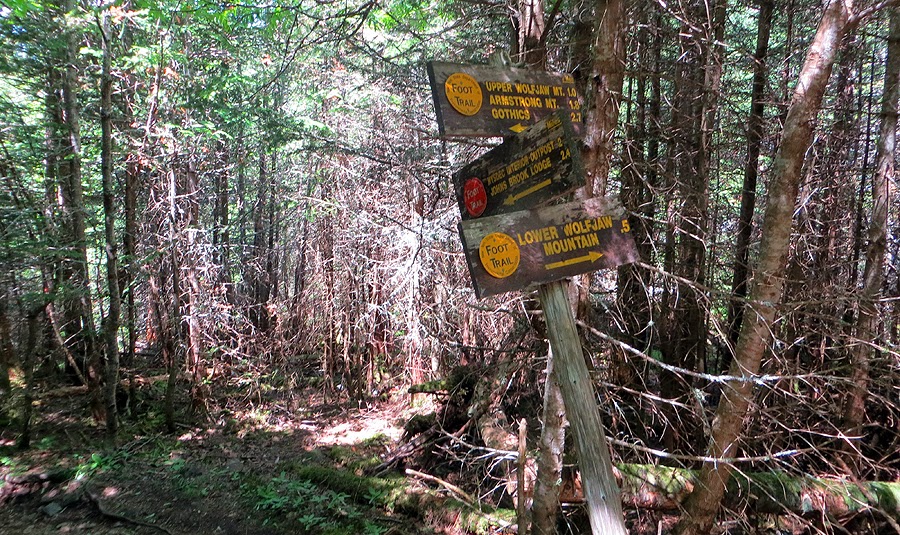 Hiking in the White Mountains: Great Range Traverse