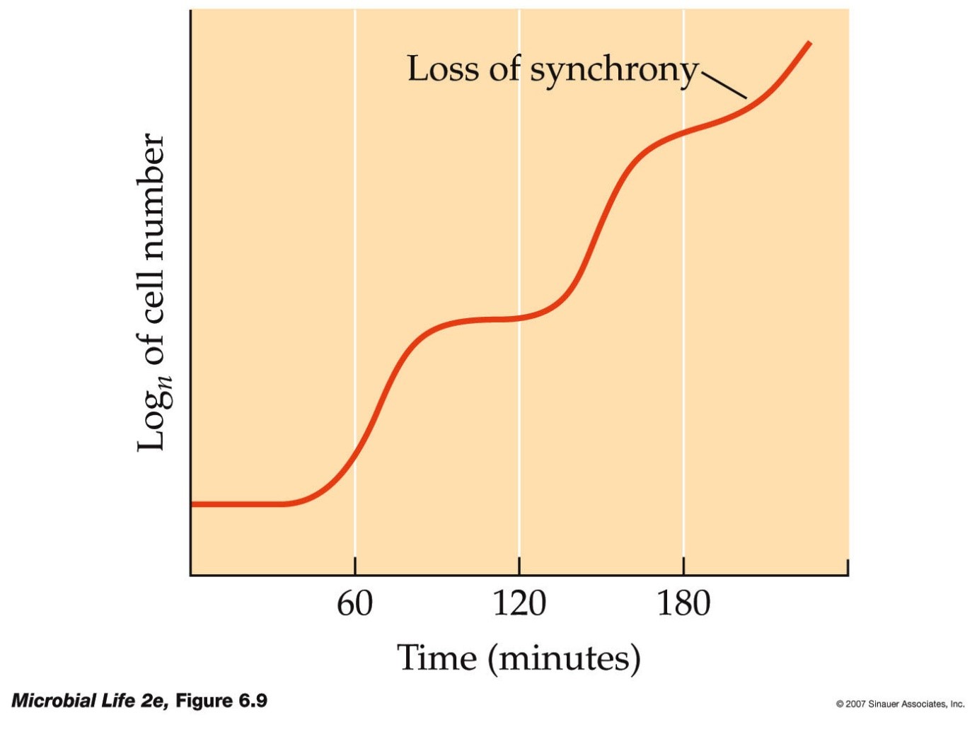 MICROBIAL GROWTH AND ITS QUANTIFICATION