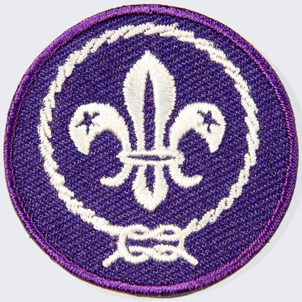 Blog Scout de Antonio Alaminos: La 'Bandera Scout Mundial' en los ...