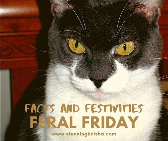 Feral Friday Facts and Festivities | Stunning Keisha