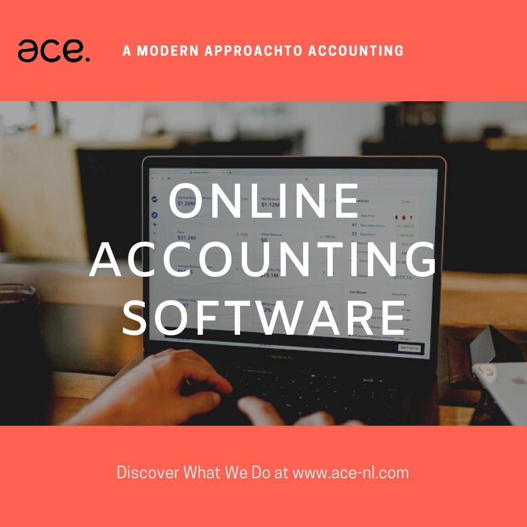 ACE: Small Company Payroll Software Assures Account Safety, Accuracy