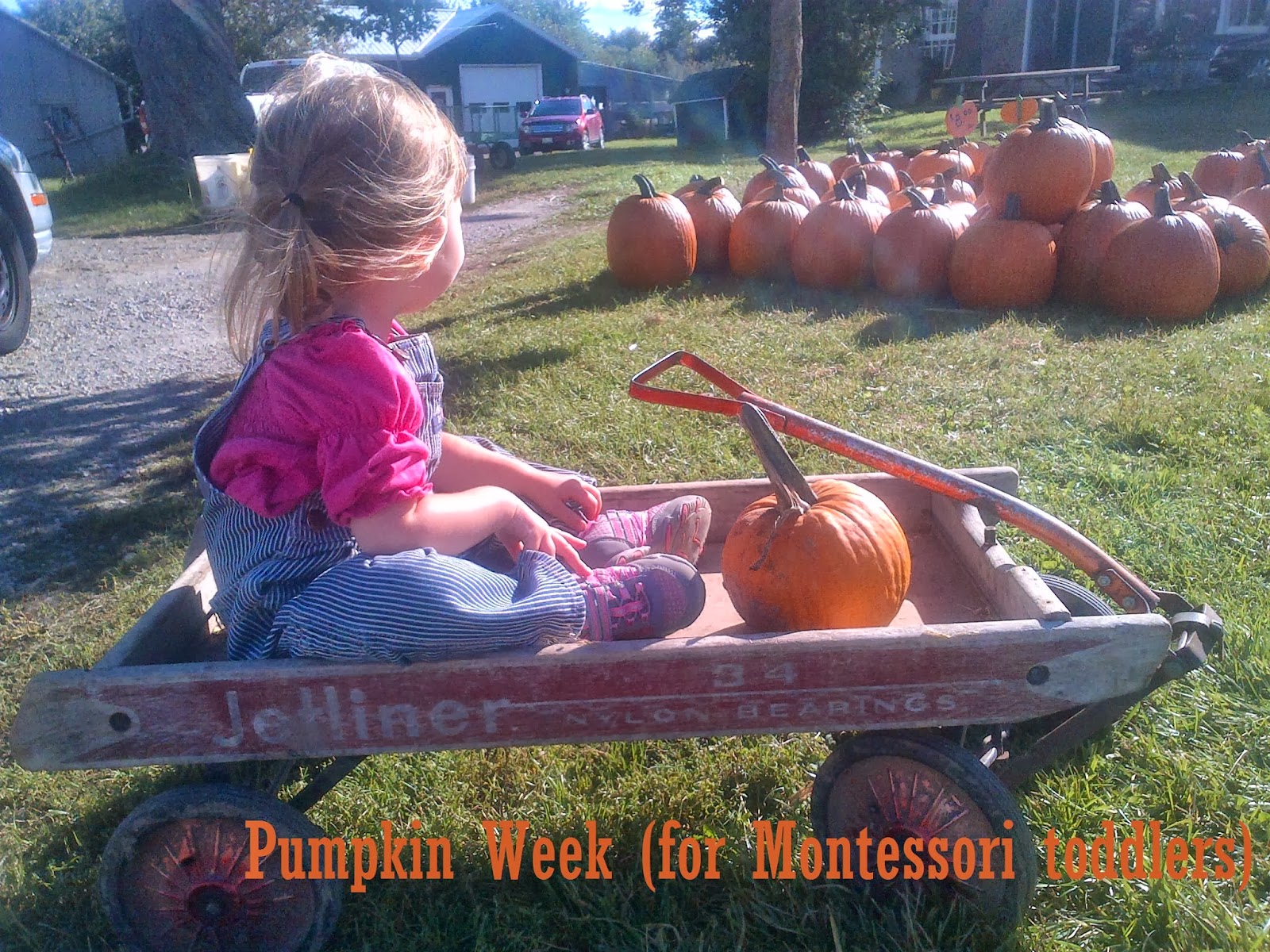 Pumpkin Week - Part One ⋆ Sugar, Spice and Glitter