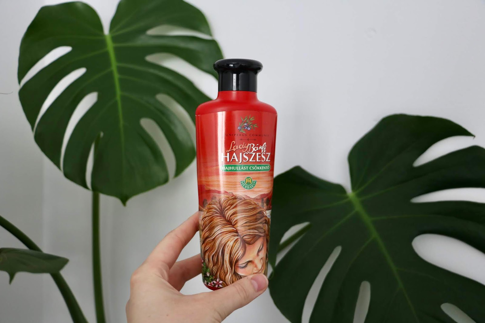 redamancyy: Lady Banfi - for long hair