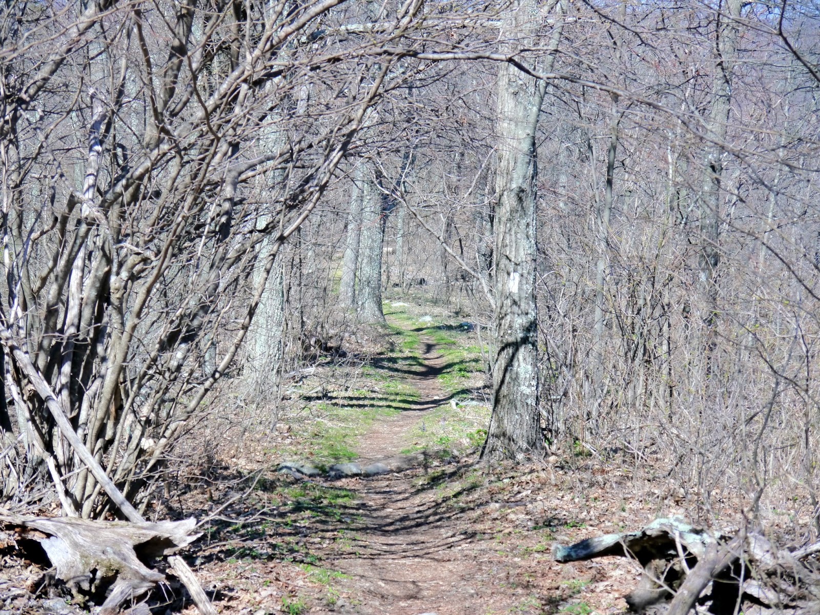 American Travel Journal: Riprap Trailhead to Blackrock Gap ...