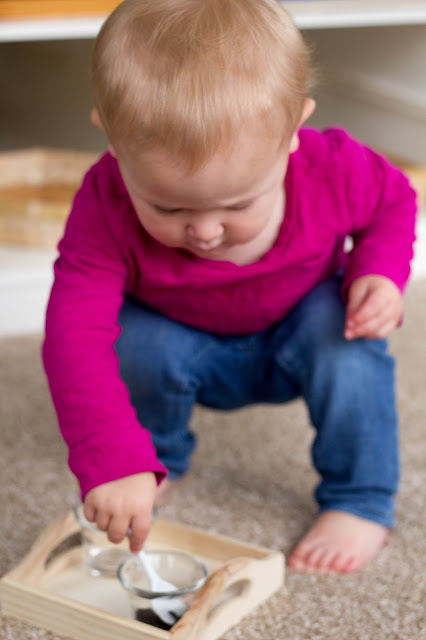 Introduction to Spooning for Montessori Toddlers | The Kavanaugh Report