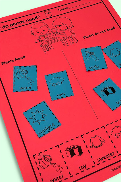 Living Things and What They Need