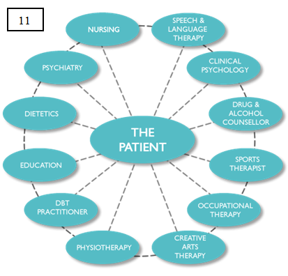 Interprofessional or Interdisciplinary teams