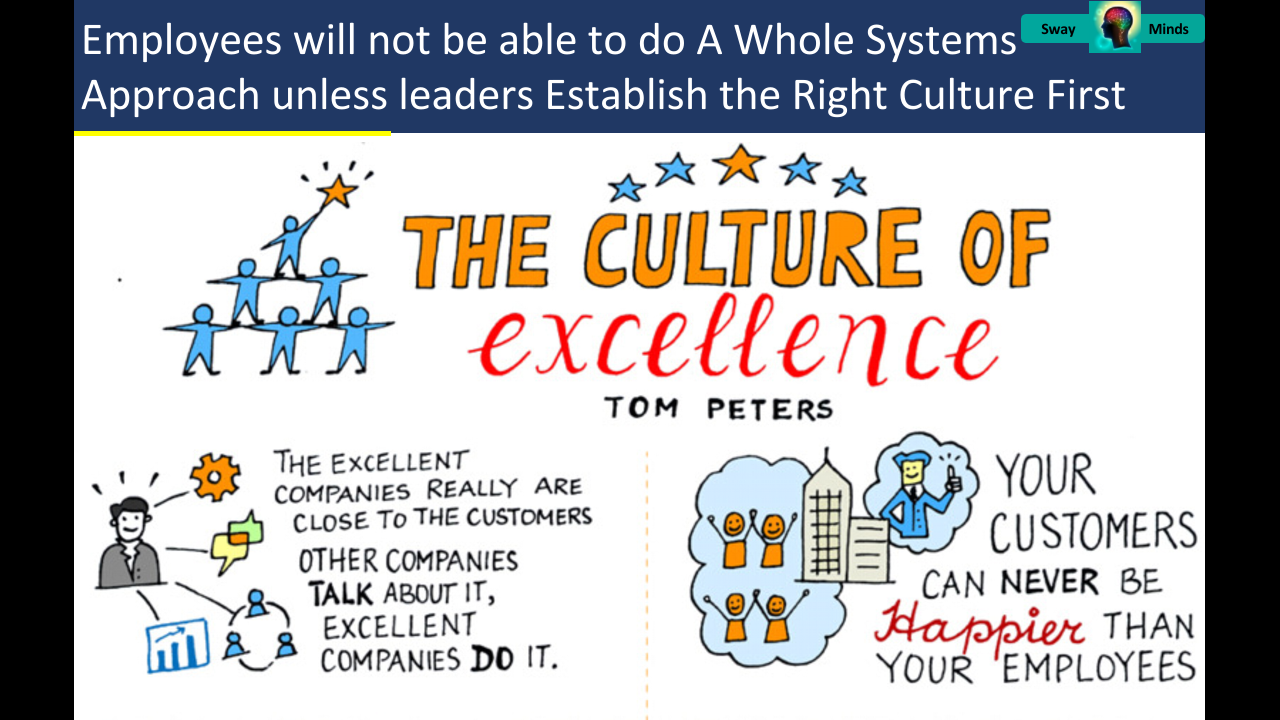 A Whole Systems Approach, Part 10/14: "The Culture of Excellence"