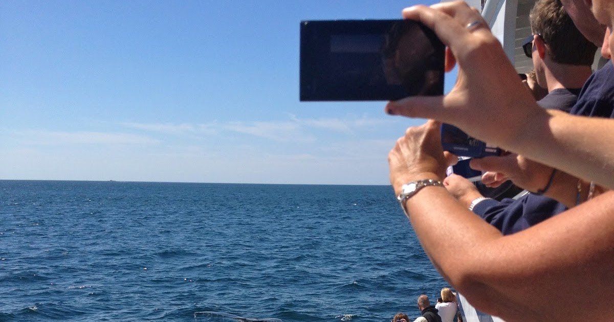 (Not So New) England Seafood Chowder