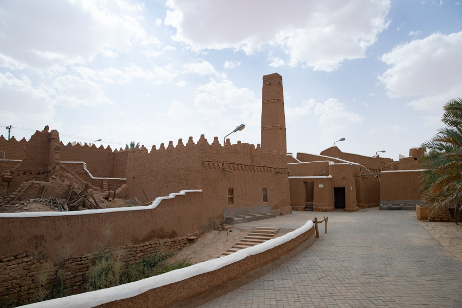 Birds of Saudi Arabia: Shaqra Historical Village – Shaqra