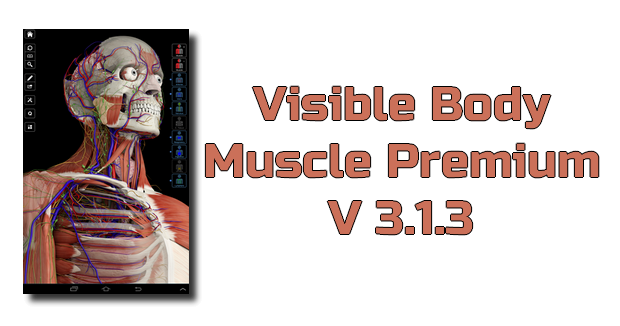 VISIBLE BODY MUSCLE PREMIUM