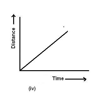 Class VII | Science | Lesson 13. Motion and Time | CBSE MASTER | NCERT ...