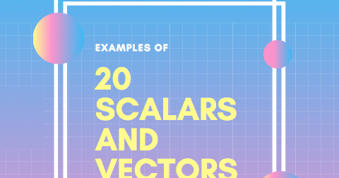 20 Examples Of Scalar and Vector Quantities List | Science Dudes