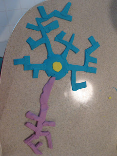 JMESZLVE: Science: Play-doh Neuron