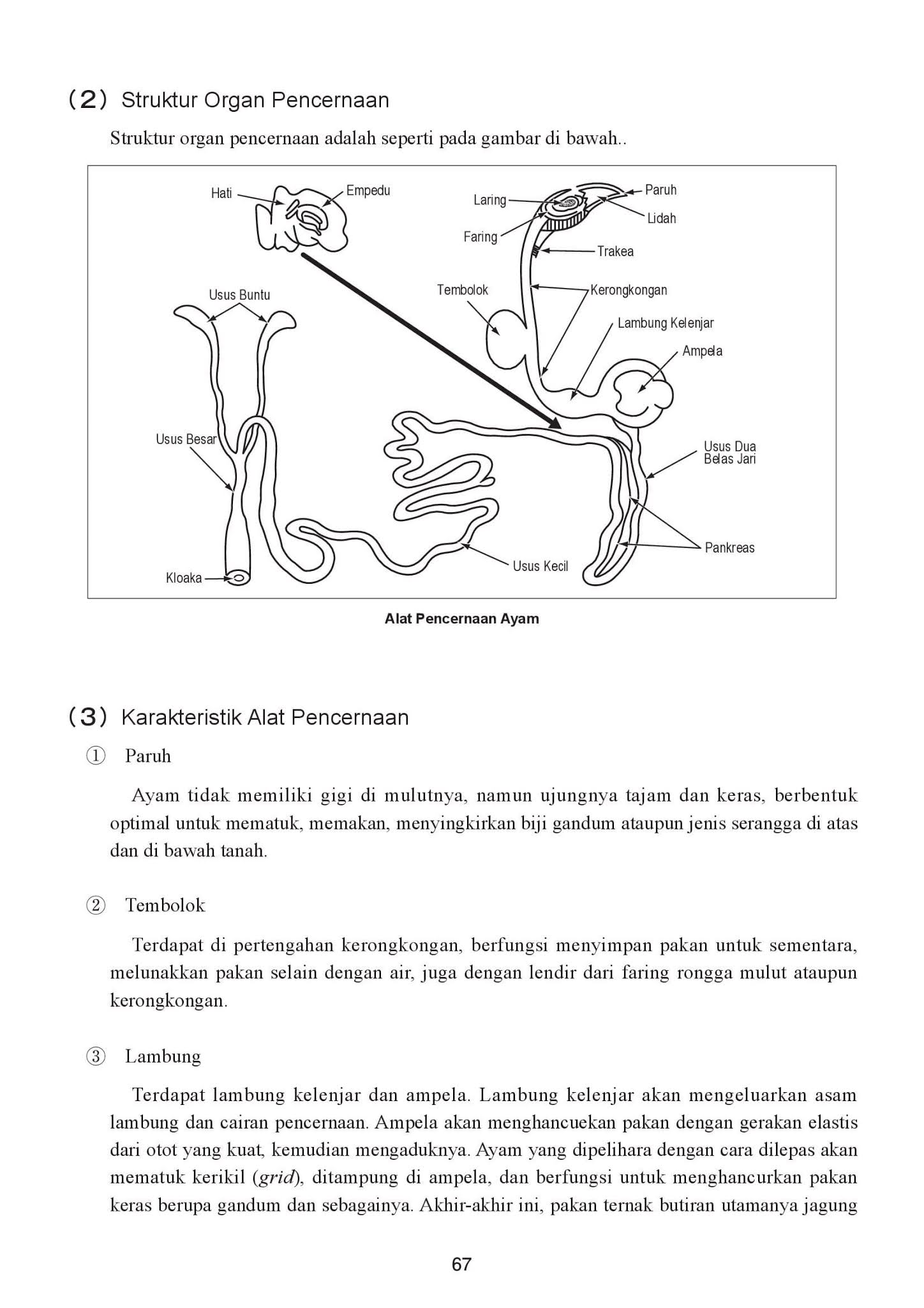 PETERNAKAN BAHASA INDONESIA