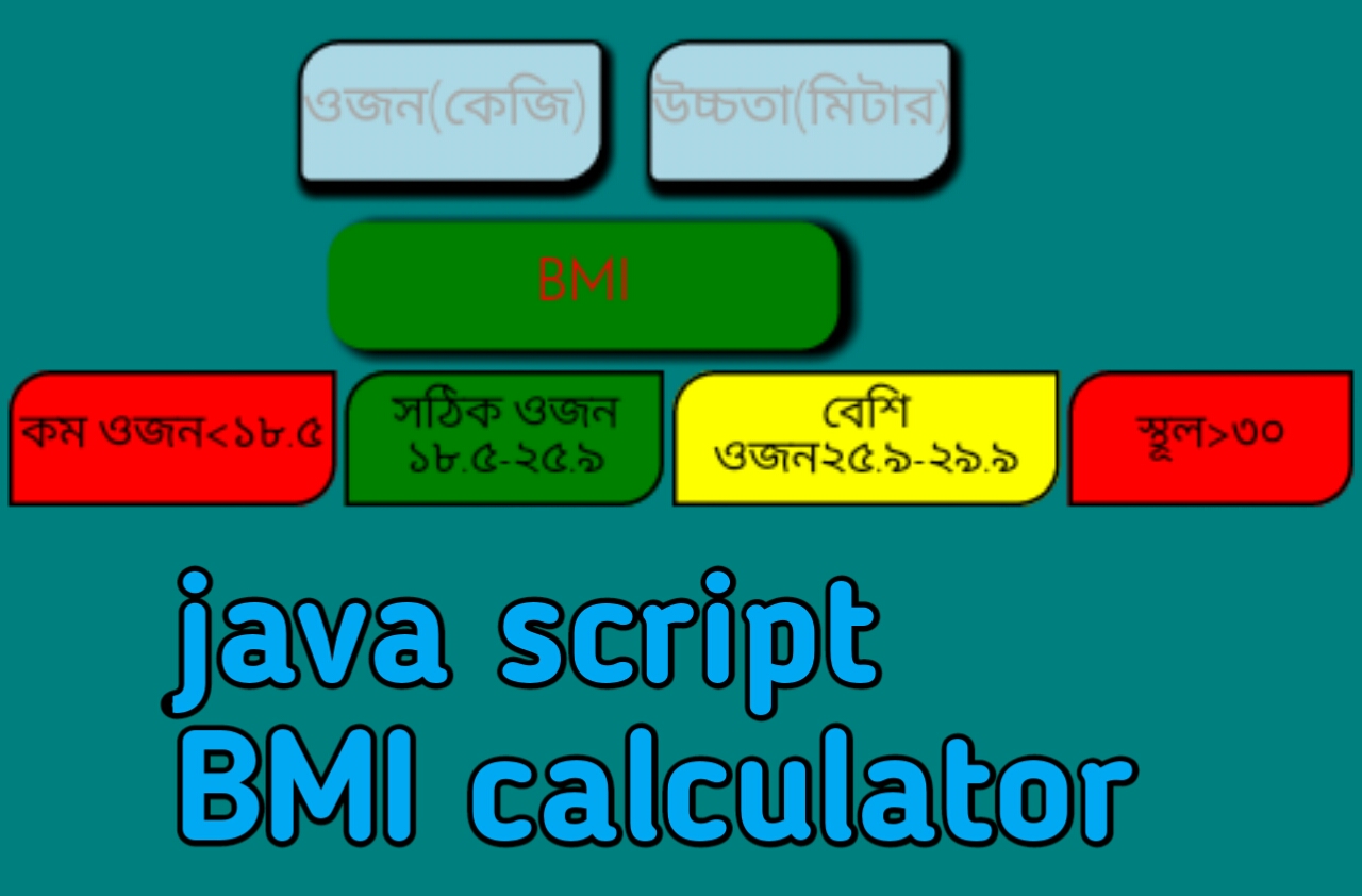 Bmi calculator project using java script - Truetechnic