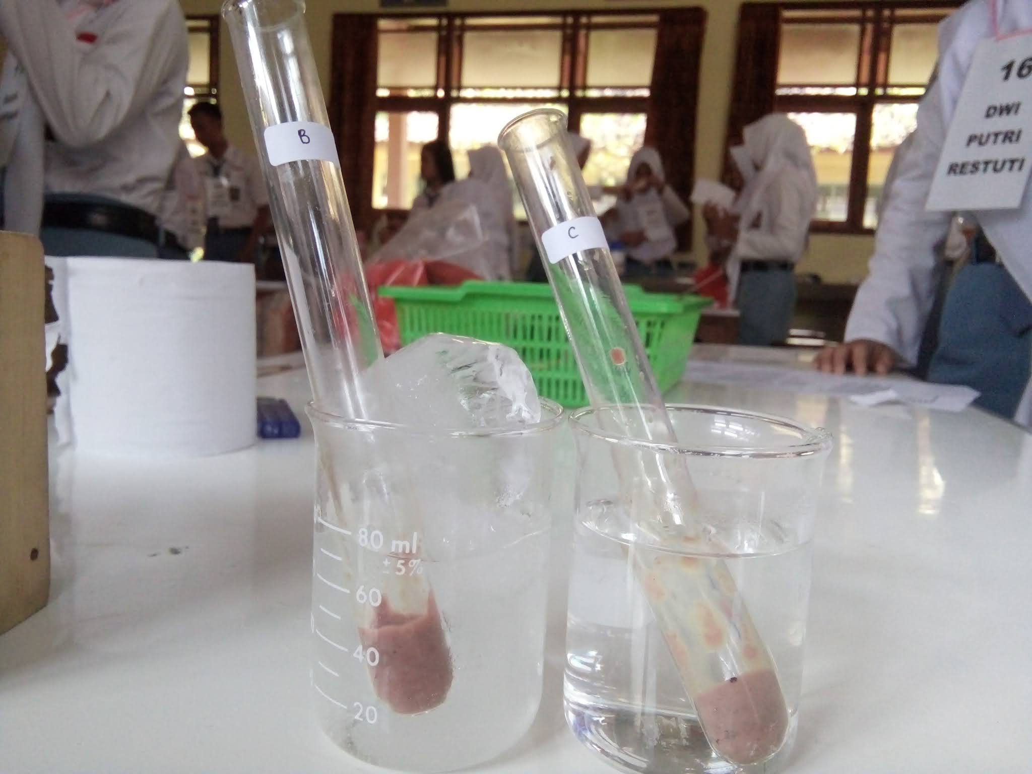 LAPORAN PRAKTIKUM BIOLOGI UJI ENZIM KATALASE PADA HATI AYAM