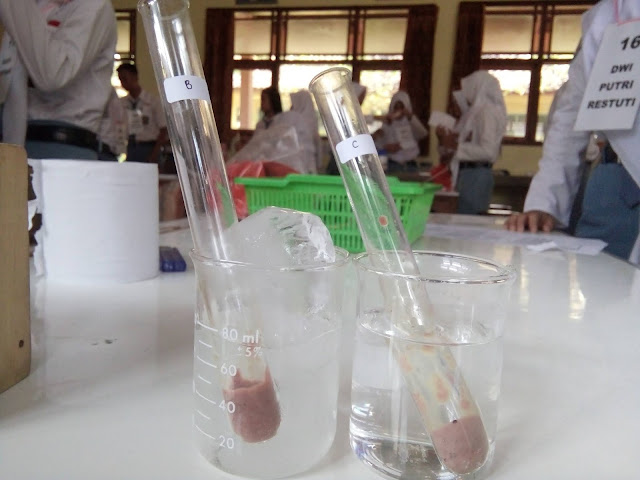 LAPORAN PRAKTIKUM BIOLOGI UJI ENZIM KATALASE PADA HATI AYAM