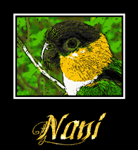 The Doodle Bird Blog: DIY: Foraging Tree