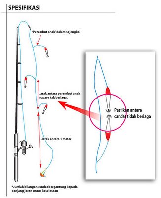 Jom .......Mancing Ler!: Mencandat Sotong