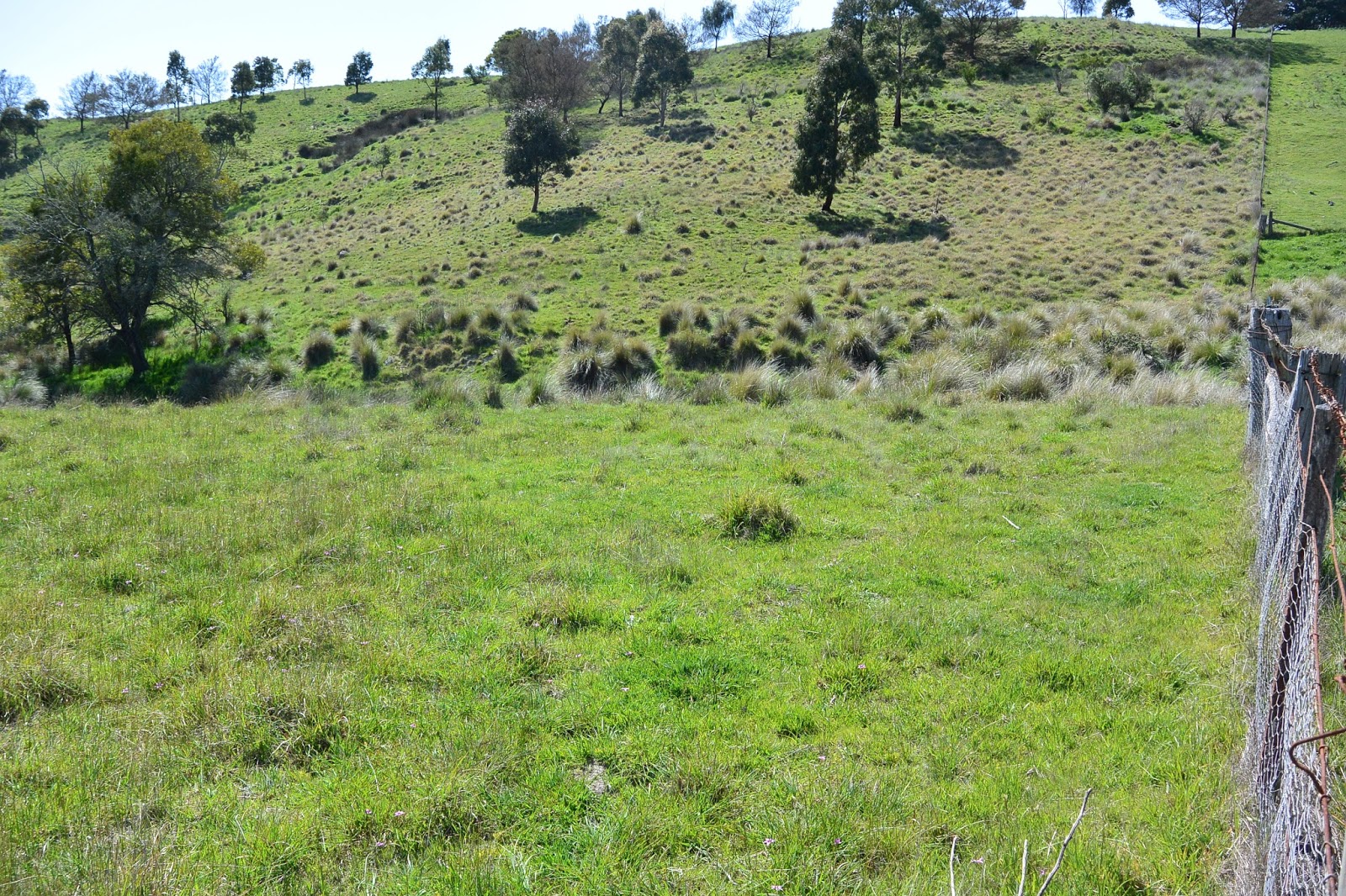 Barwon Blog: Making tracks: via Mt Mercer