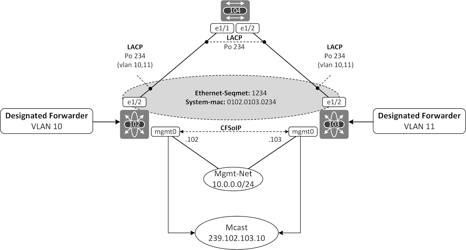 The Network Times: EVPN ESI Multihoming - Part I: EVPN Ethernet Segment ...