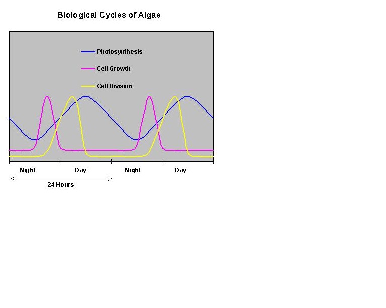 Roosevelths online test: Science Test
