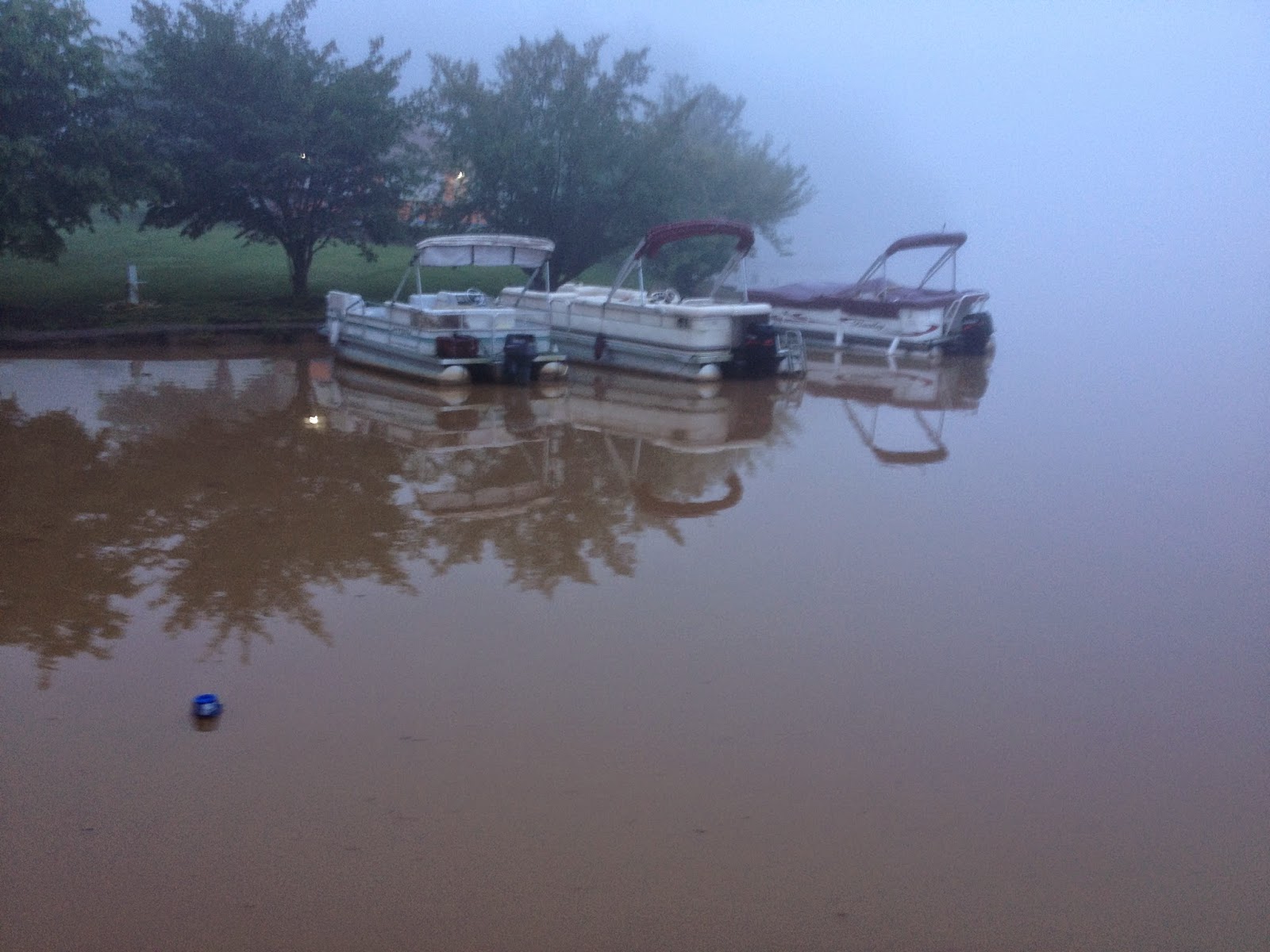 Lake Anna Striper Guide Journal: Lake Anna is a Wreck!