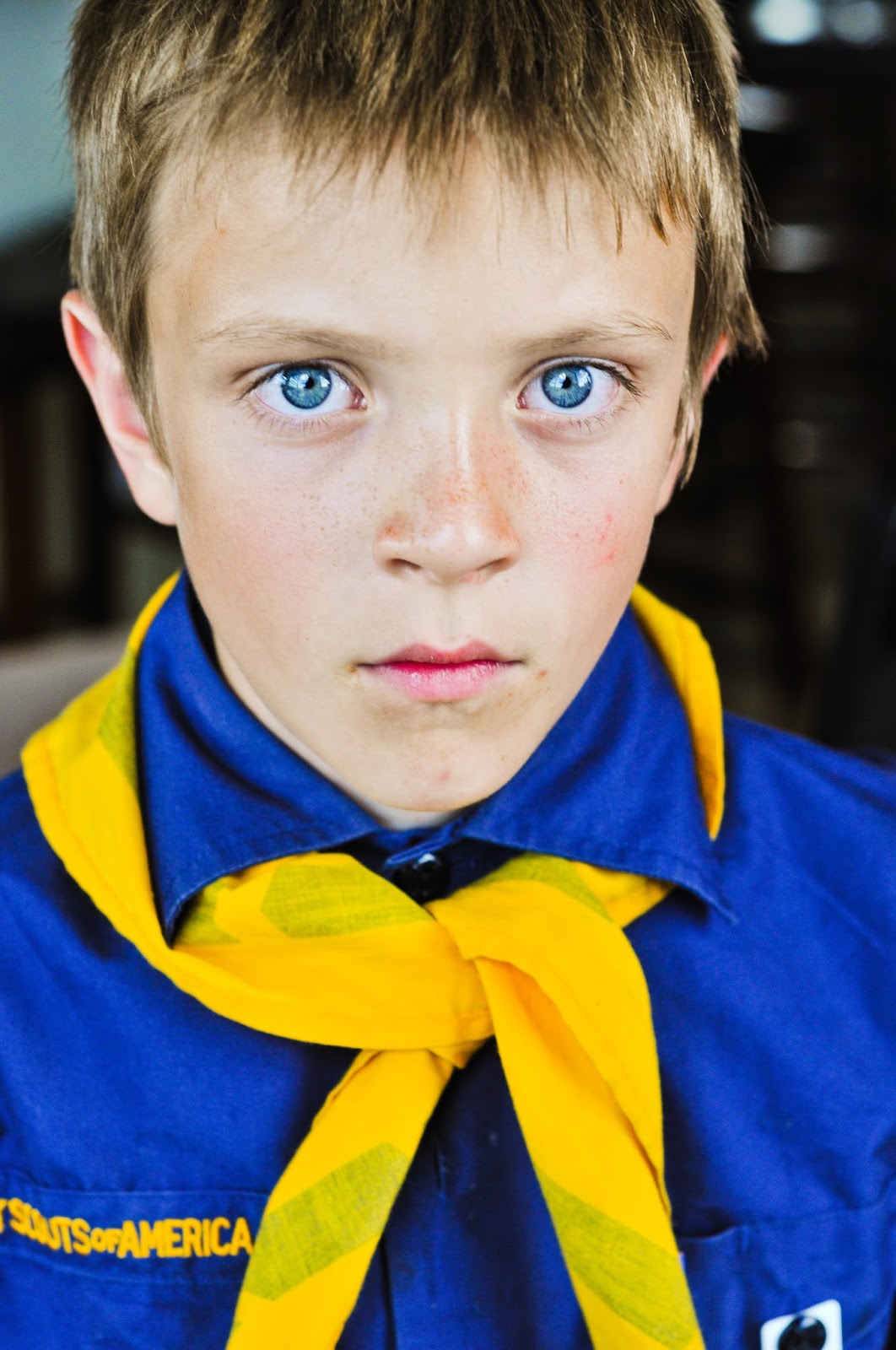 The Berry Blog Cub Scout the-berry-blog-cub-scout