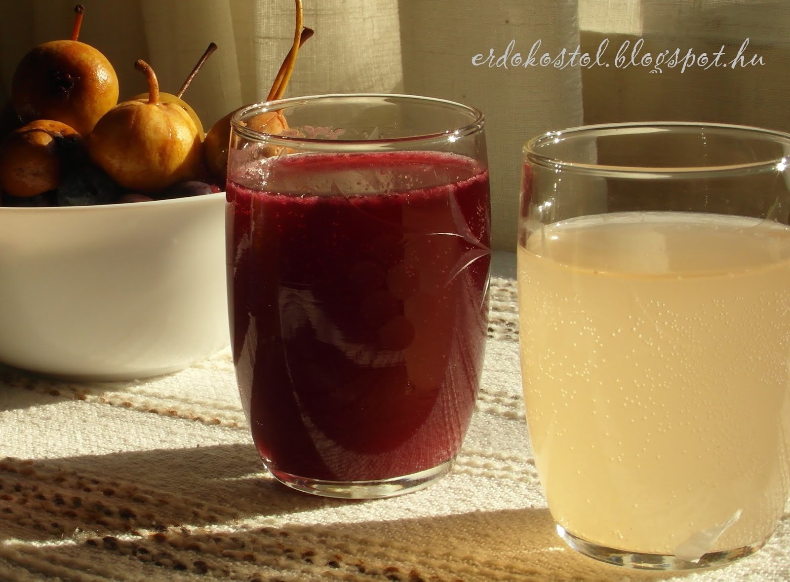 Fermentált vadgyümölcs-italok és vadgyümölcs-savanyúság készítése őszi ...