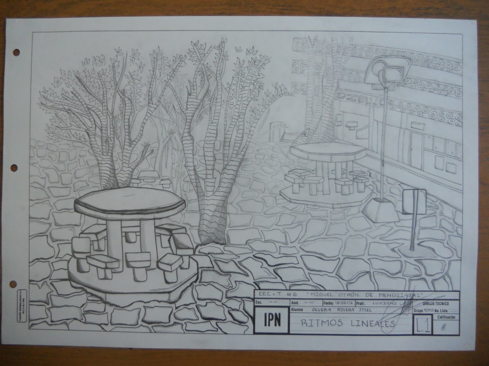 Dibujo Biológico: LÁMINA 1 RITMOS LINEALES