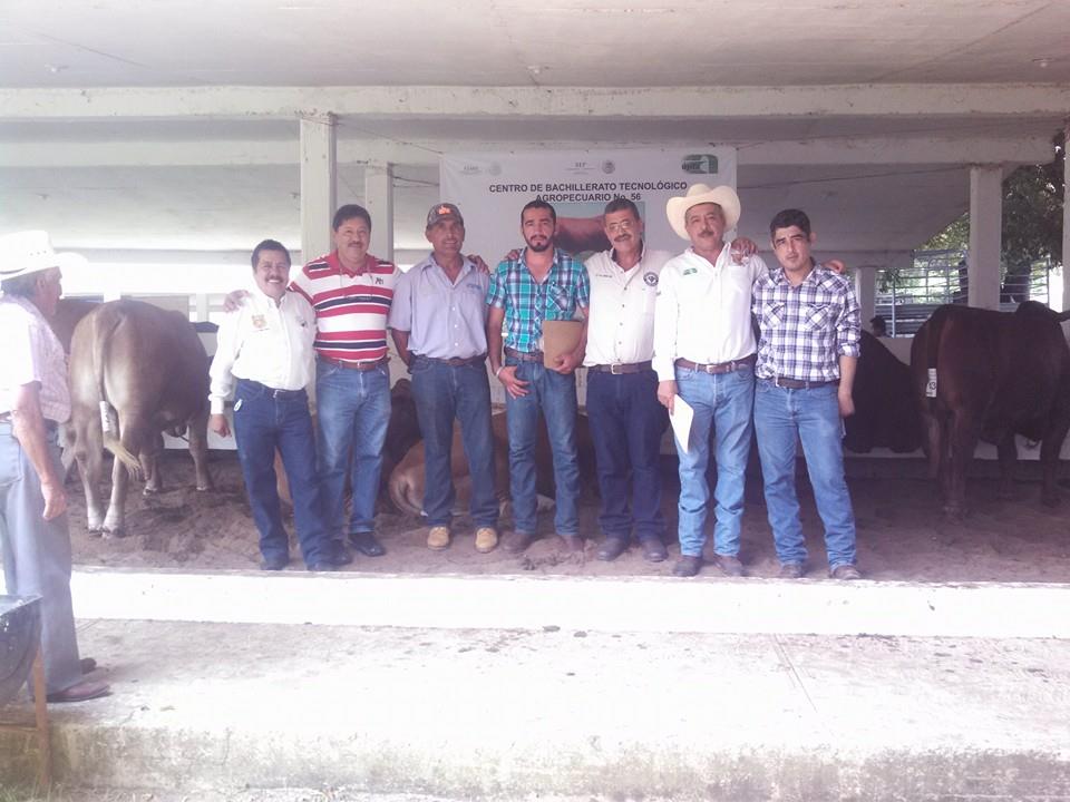 CBTA 56 PERTICIPÓ EN PROGRAMA PARA MEJORAMIENTO GENETICO DEL GANADO BOVINO