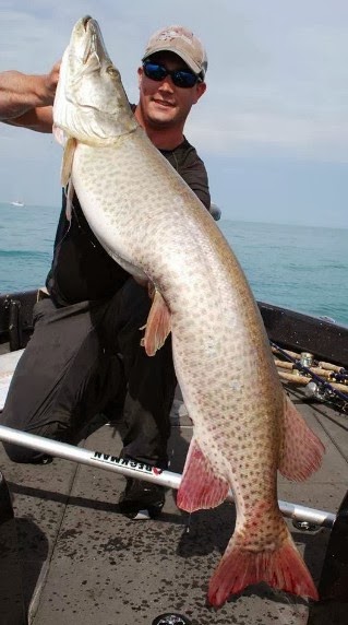 Big Fishes of the World: MUSKIE page 3