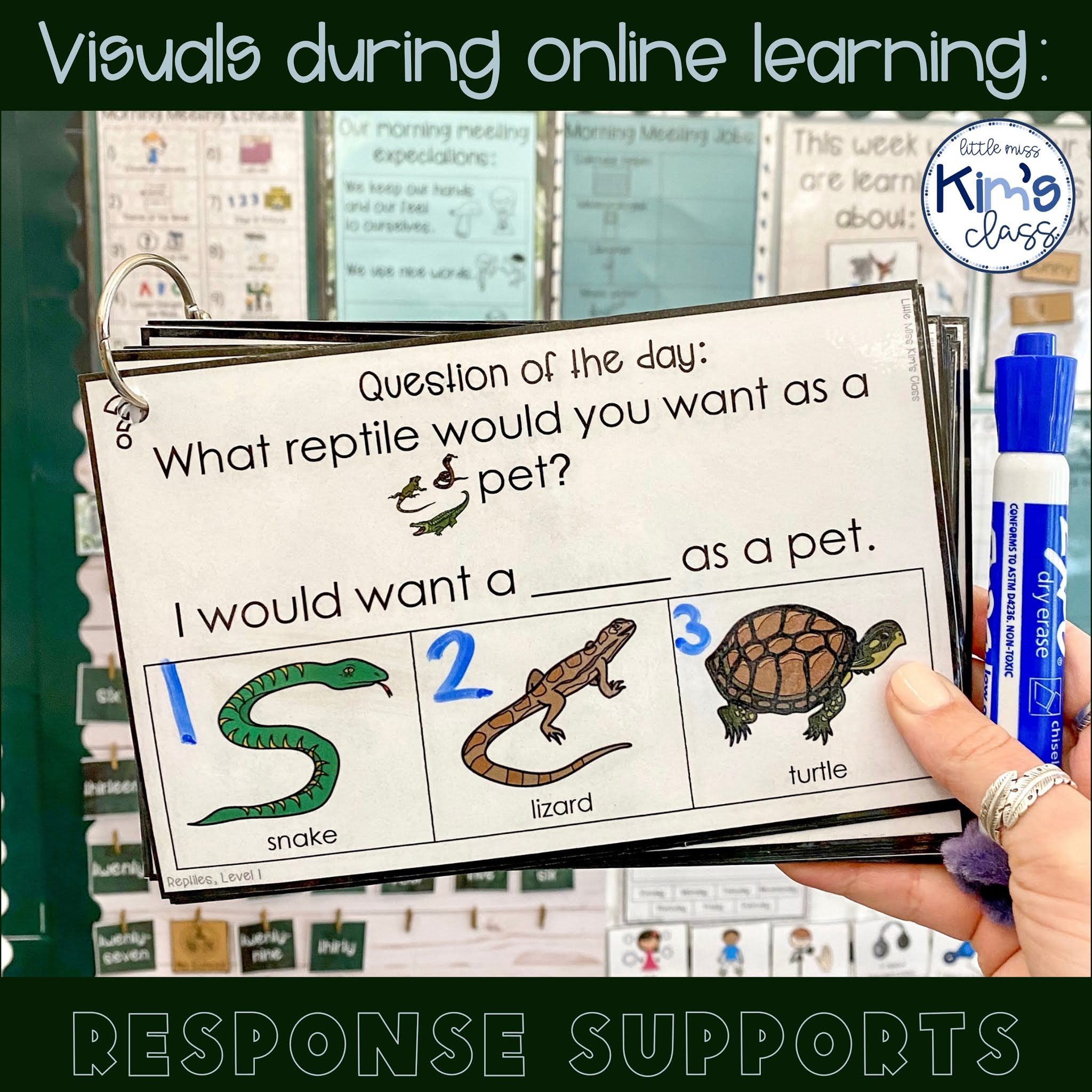 Little Miss Kim's Class: Using Visual Supports During Online Learning