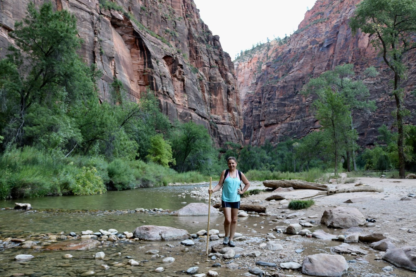 Amy's Creative Pursuits: Our Utah Adventure: Zion National Park, Day 2 ...