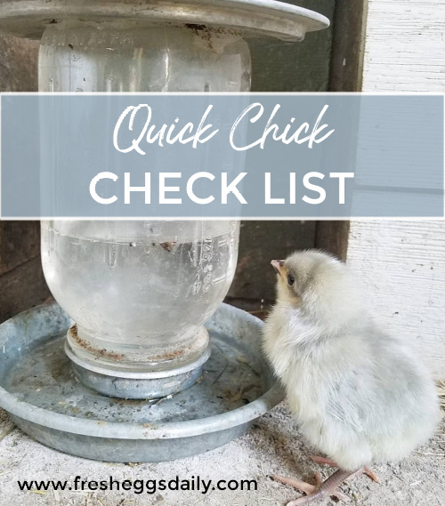 Baby Chick Supply List [printable!] - Fresh Eggs Daily® with Lisa Steele