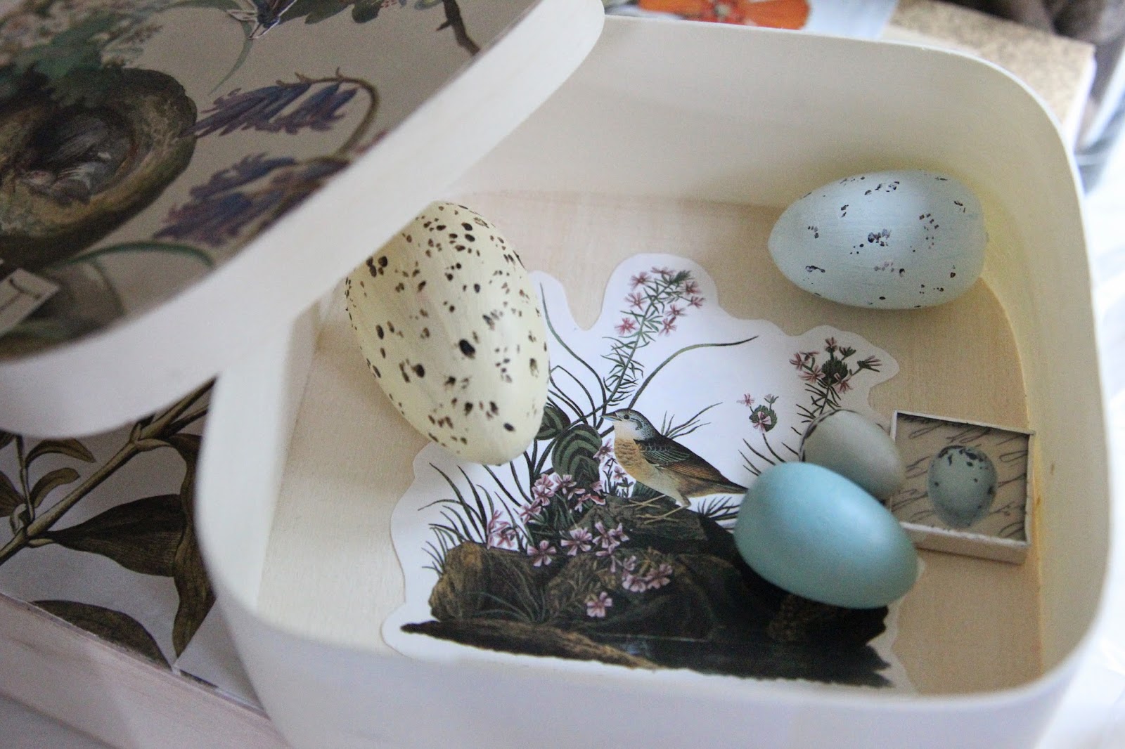 The Curiosity Box