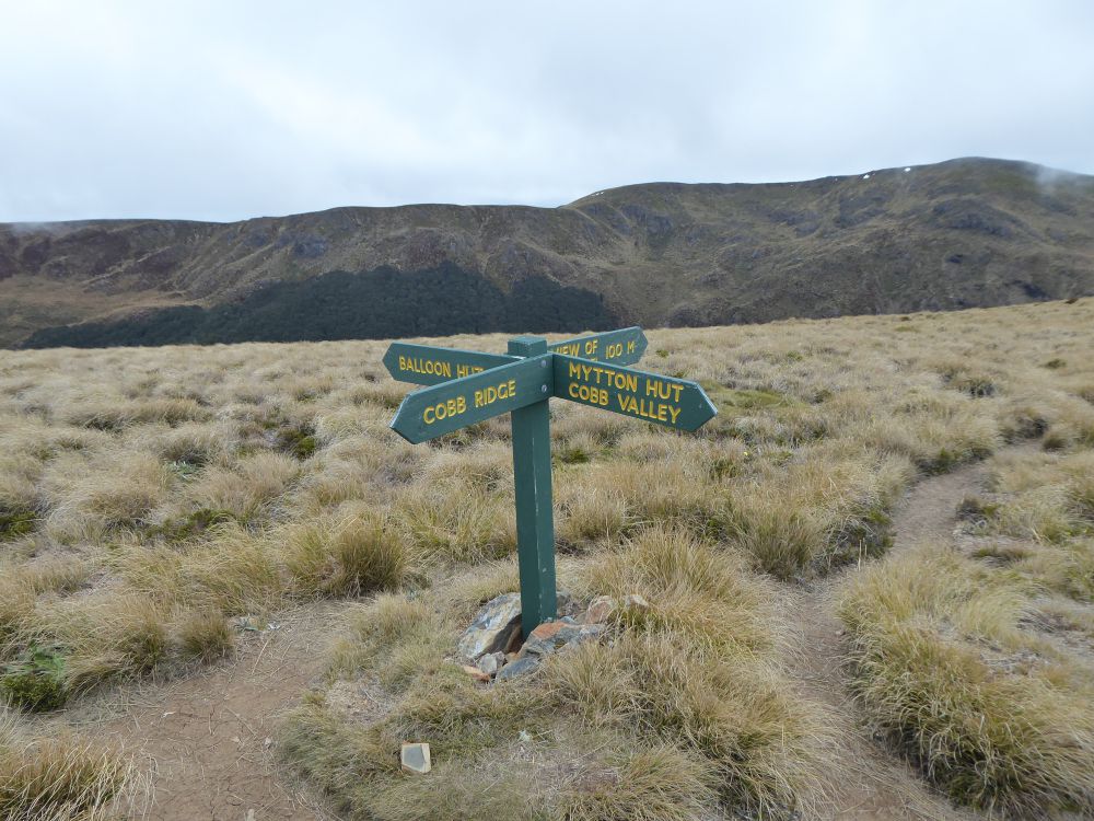 Tramping in the New Zealand backcountry: NZ Bush Adventures: Track ...