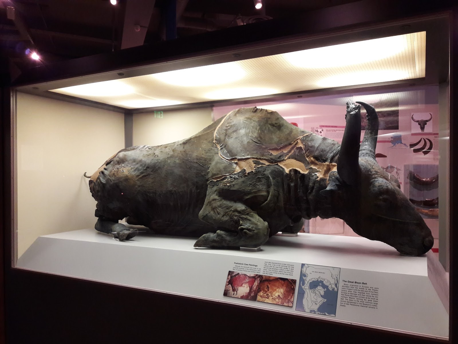 Are we there yet??: North in Alaska - Haines to Fairbanks