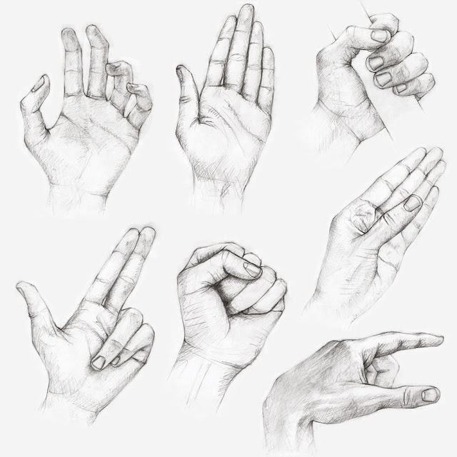 Learning to draw: Hand