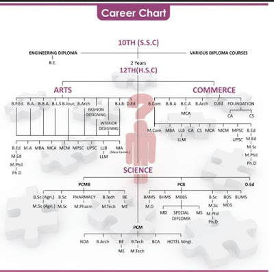 what to do after 10th and 12th career chart