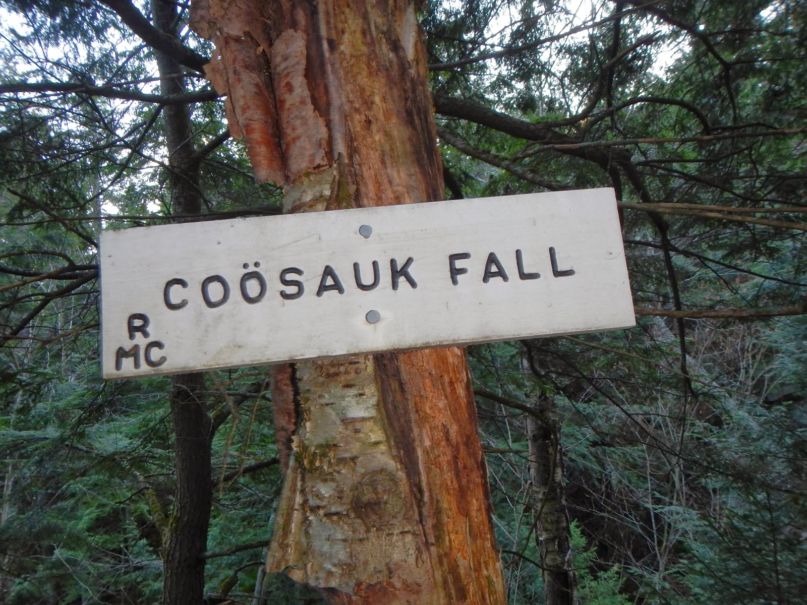 Hitting the Trails: 11/02/2013 Mount Madison - Mount Adams