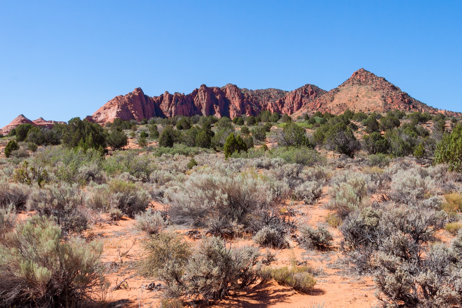 View from the Exerda: Eight Miles in the Mid-day, Mid-June Desert Heat ...