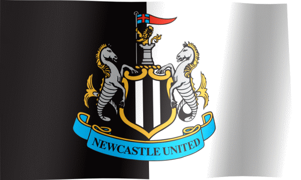 Newcastle United FC Flag GIF - All Waving Flags Newcastle United FC Flag GIF - All Waving Flags